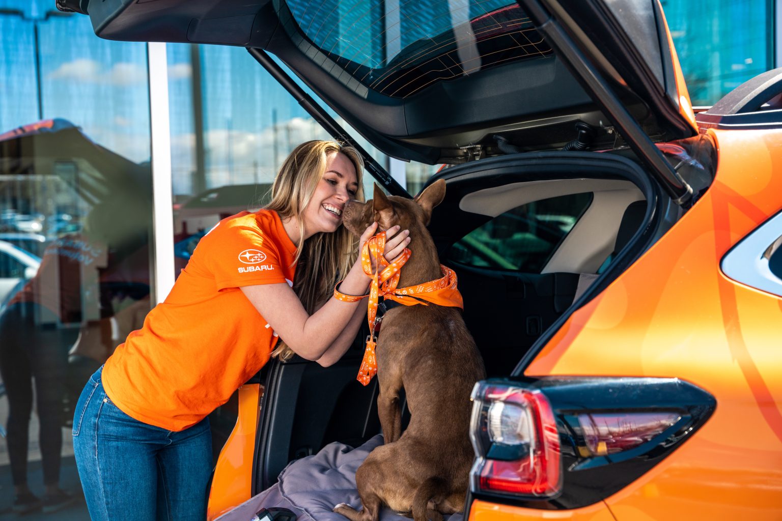 The Ultimate Guide to Pet-Friendly Subaru Models – Sunset Hills Subaru Blog