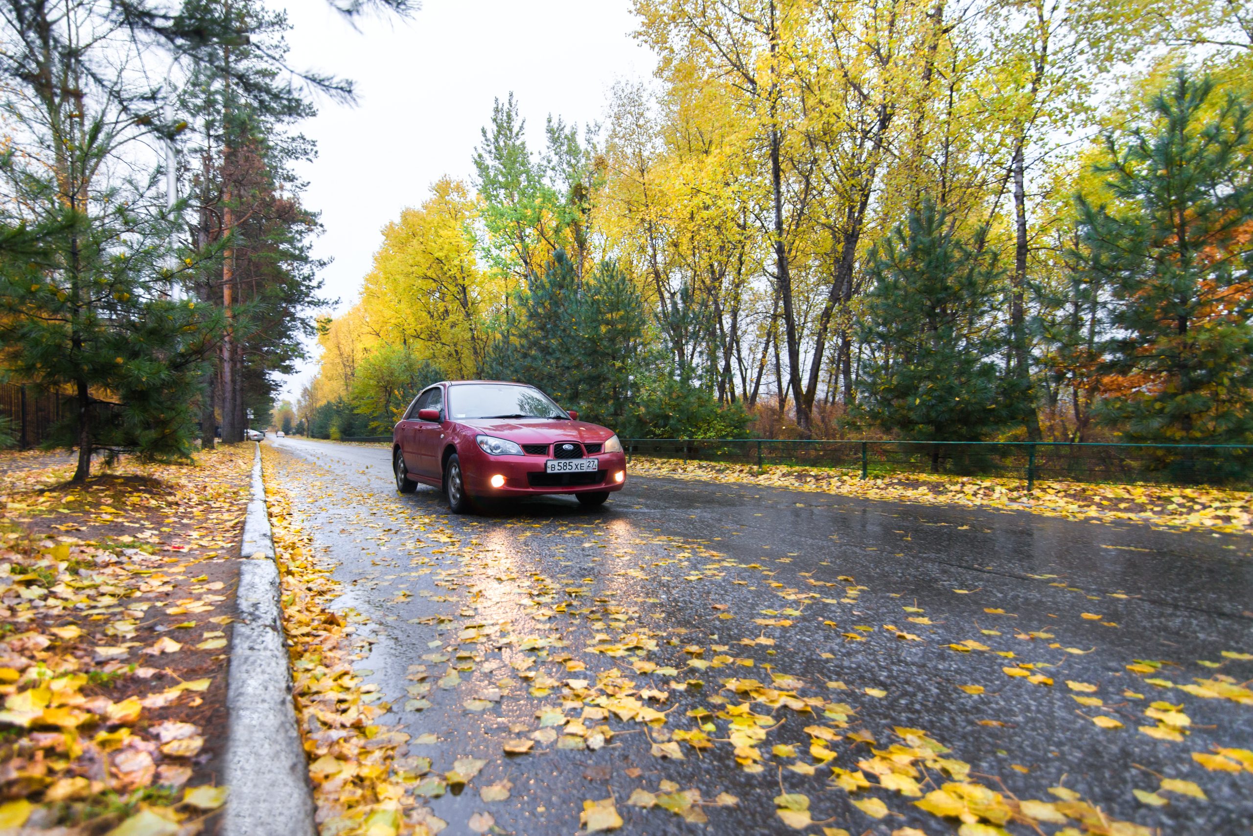 Essential Fall Driving Safety Tips from Sunset Hills Subaru – Sunset ...