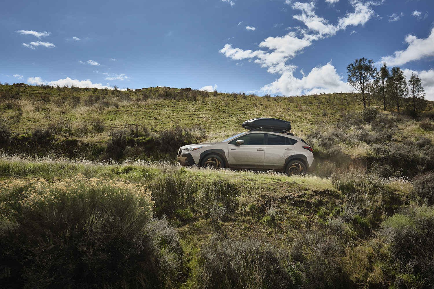 Discover the Exciting New Subaru Models Arriving in 2026 at Sunset ...