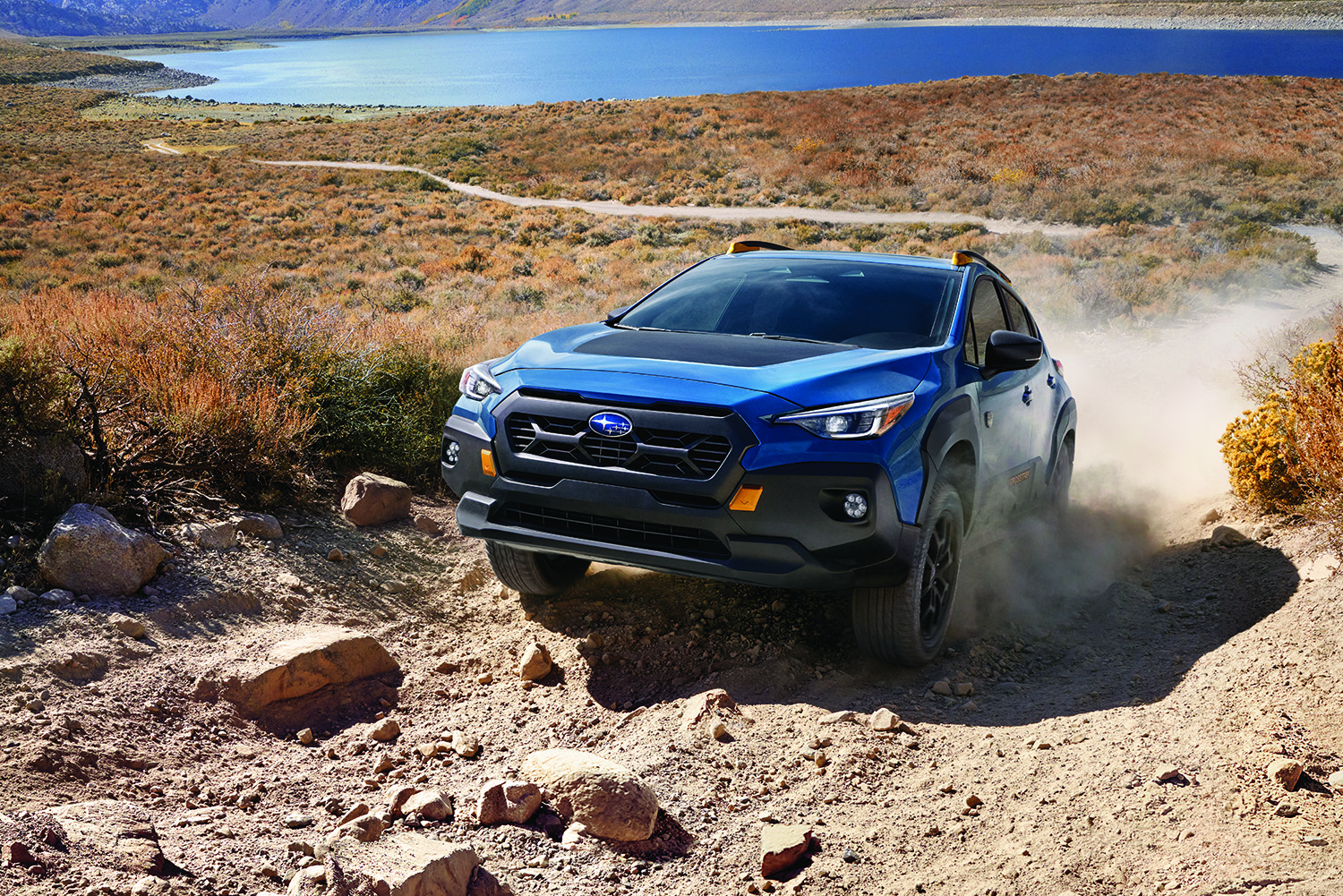 Exploring the Subaru Trend: What Makes Subaru Unique and Why It’s ...